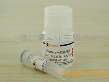 Sephadex G-200 medium(葡聚糖凝胶G-200) -盖德化工网