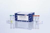 50bp Ladder DNA marker品牌：BioMed 博迈德北京-盖德化工网